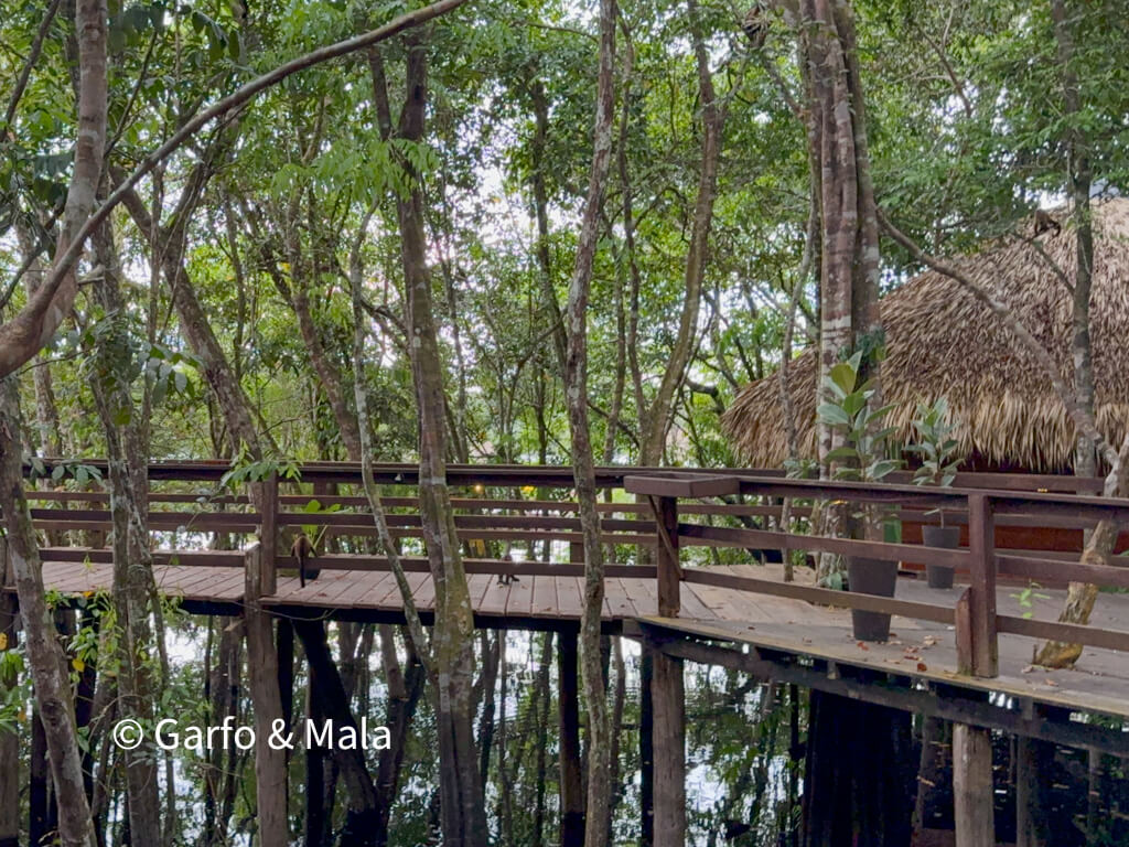 Minha Experiência em um Hotel de Selva na Amazônia | Garfo & Mala