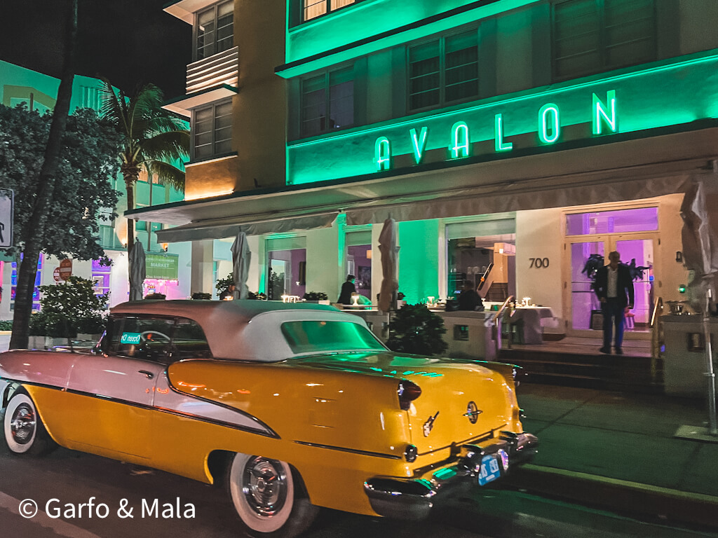 O Que Fazer em Miami: Guia Completo para sua Viagem | Garfo & Mala
